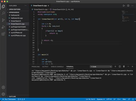Segmentation Fault In Visual Studio Code While Debug C Program Visual