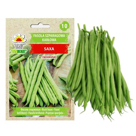 Zielona fasolka szparagowa Saxa karłowa nasiona 30 g Toraf sklep