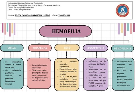 Hablemos De Hemofilia Mapa Conceptual Sobre Hemofilia Porn Sex Picture