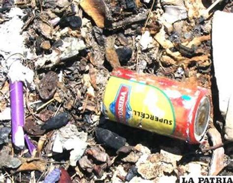 Las Pilas Y Su Efecto En El Medio Ambiente