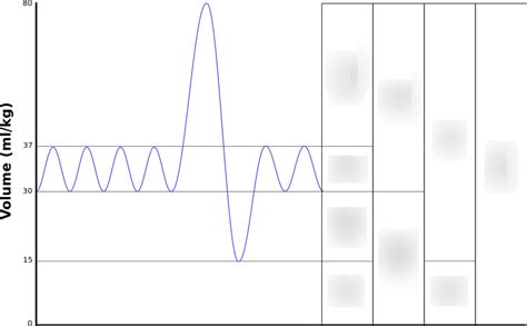 Final Exam Diagram Quizlet