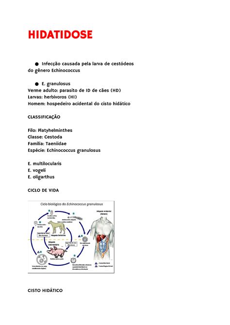 Hidatidose Resumo muitas imagens HIDATIDOSE Infecção causada
