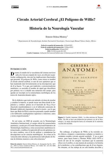 Círculo Arterial Cerebral El Polígono de Willis biologista13 uDocz
