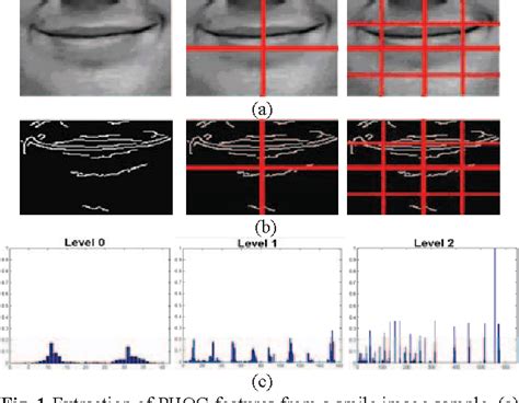 figure 1 from a novel feature extraction method using pyramid histogram of orientation gradients