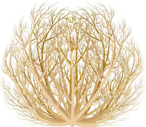 Realistic Image Of Tumbleweed Dry Plant Vector Illustration Isolated On