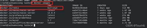 docker 安装 redis 容器 完整详细版 docker redis csdn博客