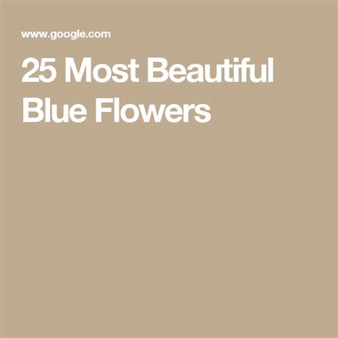 Most Beautiful Blue Flowers Blue Flowers Most Beautiful Beautiful