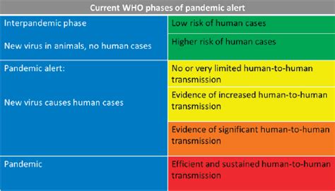 Pandemic Preparedness And Response Planning Introduction Sections