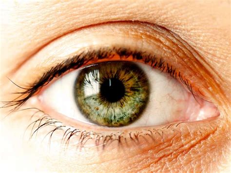 Doce síntomas de enfermedades que pueden revelar tus ojos Nexofin