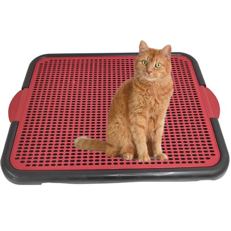 Tapete Coletor de Areia para Gatos Lavável Bandeja Coletora 55x42 Cm