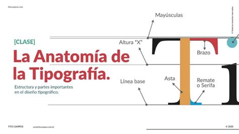 Descubre la Anatomía de Una Tipografía en 70 Caracteres 2024