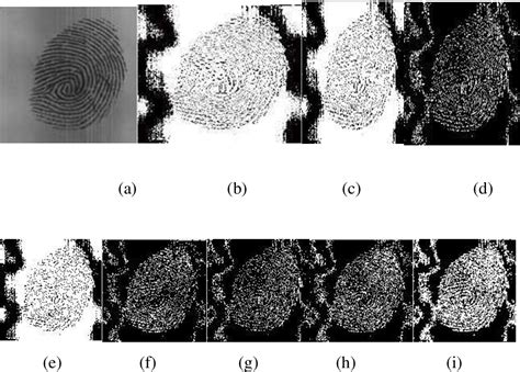 figure 3 from an ideal approach for enhancing fingerprint ridges using wavelet techniques