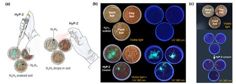 Soil Application Of Hyp A A Schematic Illustration For The