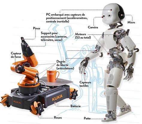 Lanatomie Dun Robot Science Vie Junior Everand