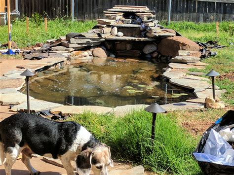 25 Homemade DIY Pond Ideas For Backyard Garden Suite 101