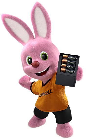 Duracell Hi Speed Pro Ladegerät für Batterien des Typs AA AAA