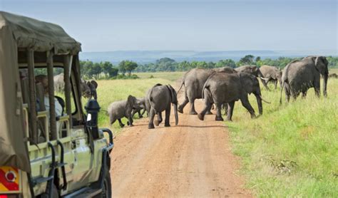 Victoria Falls Tours Exploring The UNESCO World Heritage Site