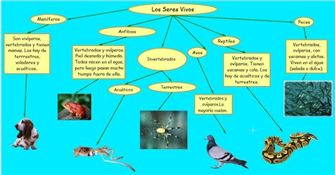 Los Seres Vivos E Inertes Mapa Conceptual Los Seres Vivos Y Sus Tipos
