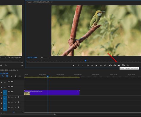 3 Ways To Do A Freeze Frame In Premiere Pro Storyblocks