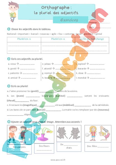 Le Pluriel Des Adjectifs Exercices D Orthographe Pour Le Ce Pdf