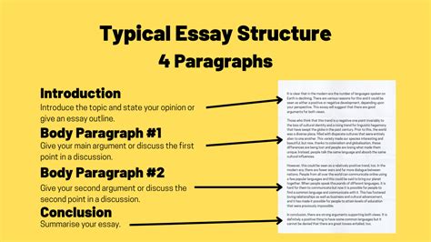 Typical Essay Structure 4 Paragraphs TED IELTS