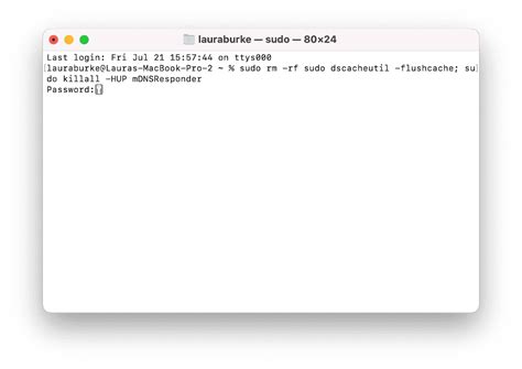 DNS Flush Mac User Guide Tips And Tricks You Need To Know