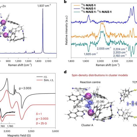 Spectroscopy Characterizations And Spin Density Distributions Of