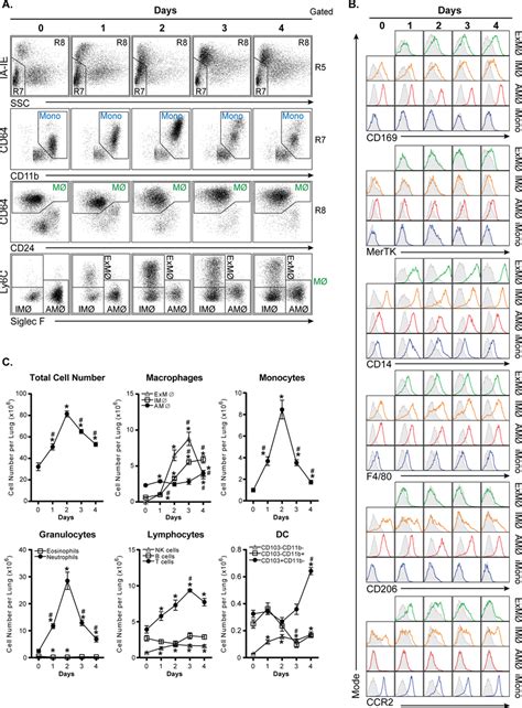 Flow Cytometric Analysis Of LPS Exposed Lung Tissues A Dot Plots
