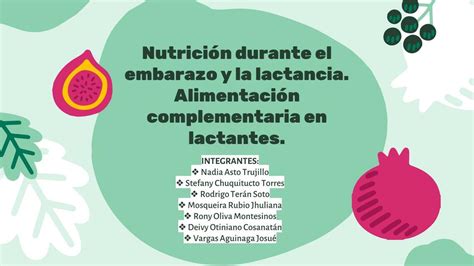 Nutrici N Durante El Embarazo Y La Lactancia Udocz 4550 The Best Porn