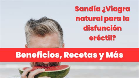 Cómo preparar la sandia para la disfunción eréctil 5 recetas que amarás