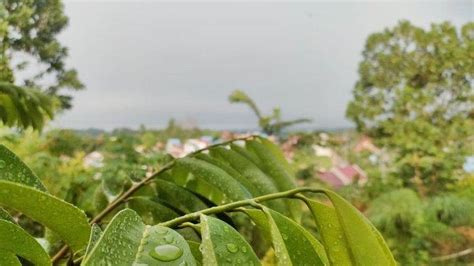 Cuaca Hari Ini Balikpapan Kamis 25 Agustus 2022 Hujan Ringan Awali