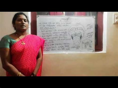 Th Class Biology Th Lesson Mahabubabad Education Youtube