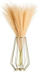 Sziqiqi Gold Vase With Test Tubes Cm Tall Modern Geometric Flower