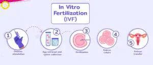 5 Important Facts You Need To Know About Test Tube Baby