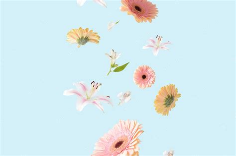 Spring Aesthetic Blue Wallpapers Wallpaper Cave