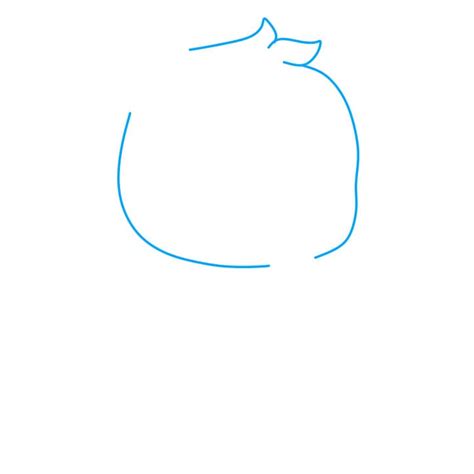 Paso 2