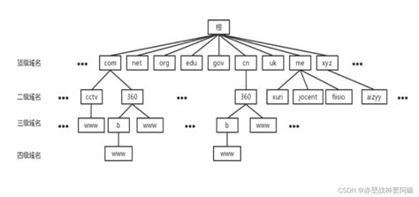 linux基础——dns服务器原理及搭建 linux dns server怎么写ad的 csdn博客