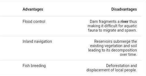 Compare The Advantage And Disadvantages Of Multipurpose River Project