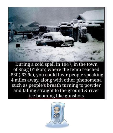 Weird History Facts Creepy History History Memes World History