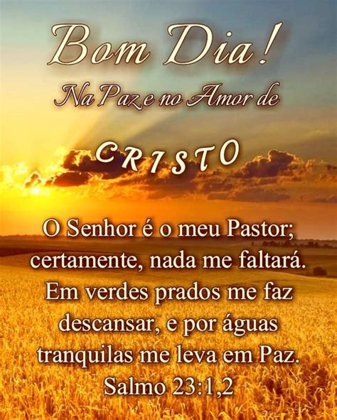 Imagens De Bom Dia Salmos E Frases B Blicas Para Refletir