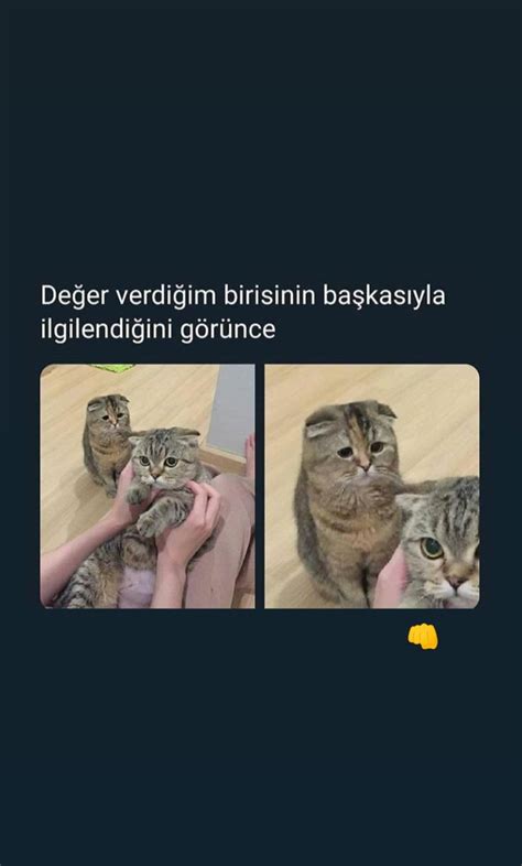 Épinglé par lisa sur Hızlı Kaydetmeler Citation