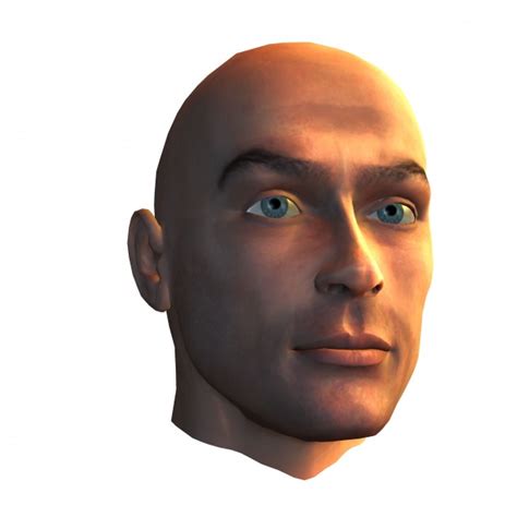 Man Face 1 Free Stock Photo Public Domain Pictures