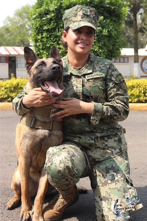 SEMAR México on Twitter Eros nuestro CaninoNaval demostrando