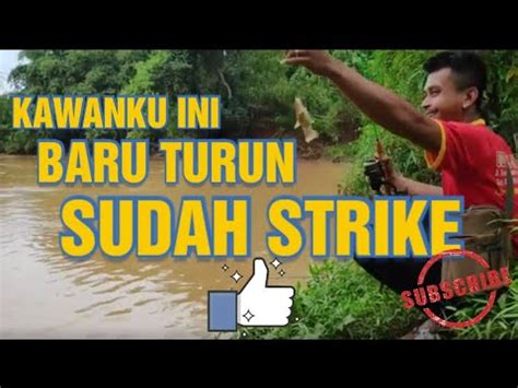 MANCING AMATIR Baru Lempar Umpan Sudah STRIKE YouTube