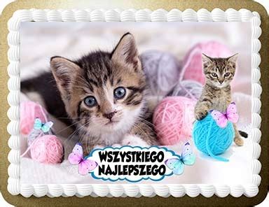 OPŁATEK NA TORT KOT KOTEK KOTY KOTKI PROSTOKĄTNY 13882518271 Allegro pl