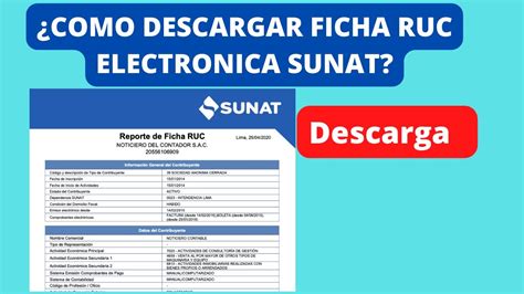 Pasos Para Descargar FICHA RUC SUNAT 2023 YouTube