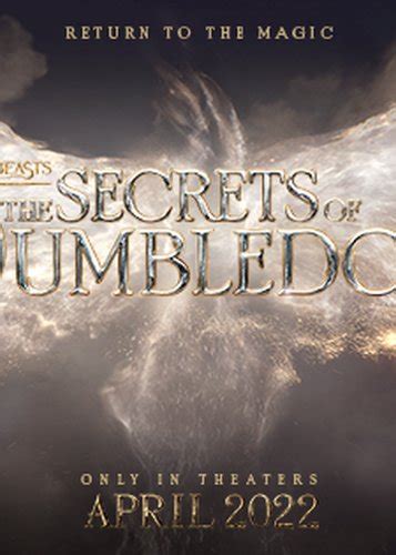 Phantastische Tierwesen 3 Dumbledores Geheimnisse DVD Oder Blu Ray