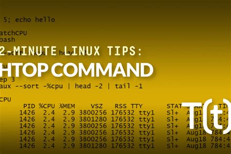 How To Use The Htop Command To Monitor System Performance