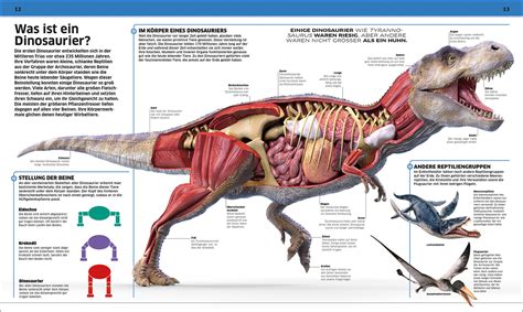 Wissen Dinosaurier