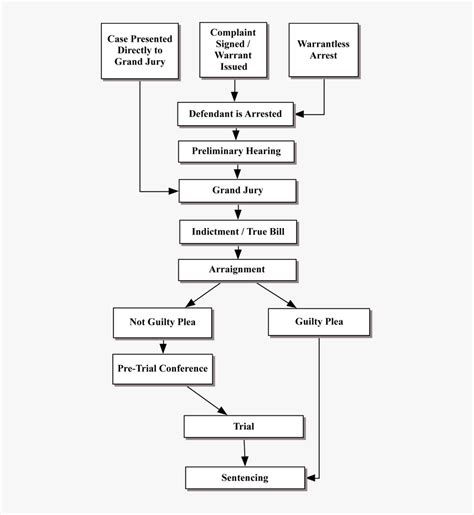 Criminal Trial Process Flow Chart
